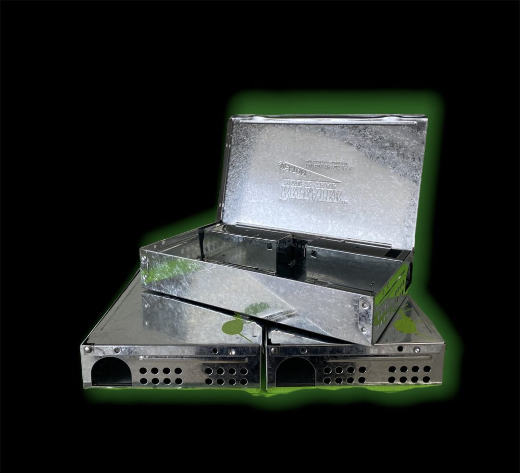 Tin Spider (Mechanical Trap) | The Bug Guys